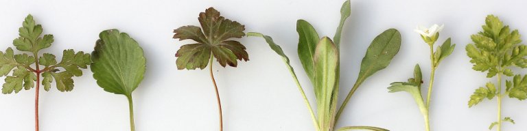 How To Train Your Bladder: Step By Step Guide of Bladder Training