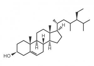 Doctor Answers: Does Beta Sitosterol Shrink Prostate? - Ben's Natural ...