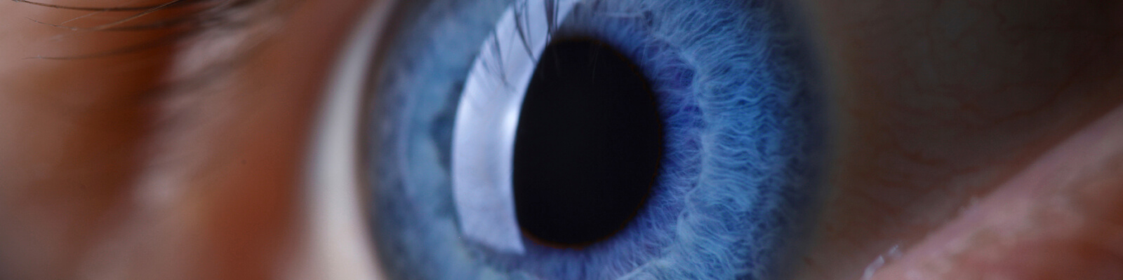 Eye Health Supplements | Clear Vision For Healthy Eyes