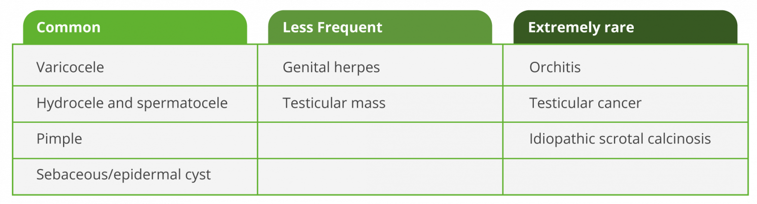 Bumps on Scrotum: Potential Causes and Treatment Options