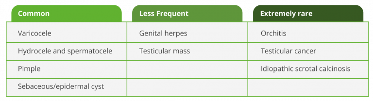 Bumps on Scrotum: Potential Causes and Treatment Options