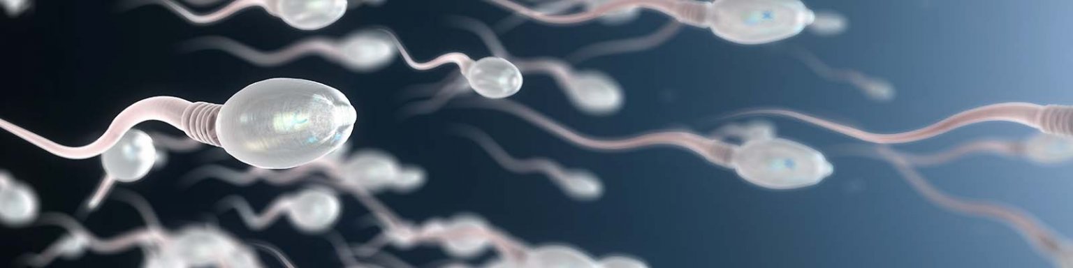 Semen Retention: Is It Healthy to Abstain From Ejaculation? - Ben's ...