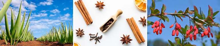 How Long Does Trulicity Stay In Your System?