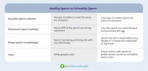 Semen Health: How To Make Sperm Thicker And Stronger