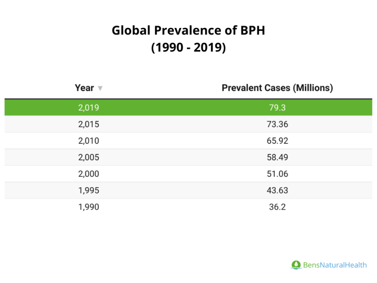 BPH Statistics and Facts: 2025 Insights