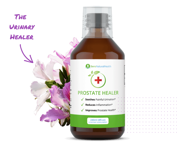 Mens Prostate Health Program Bens Natural Health