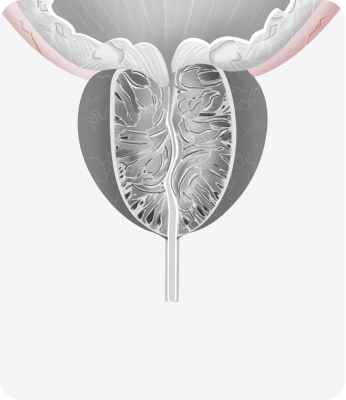 Total Health Prostate Supplement | Ben's Natural Health